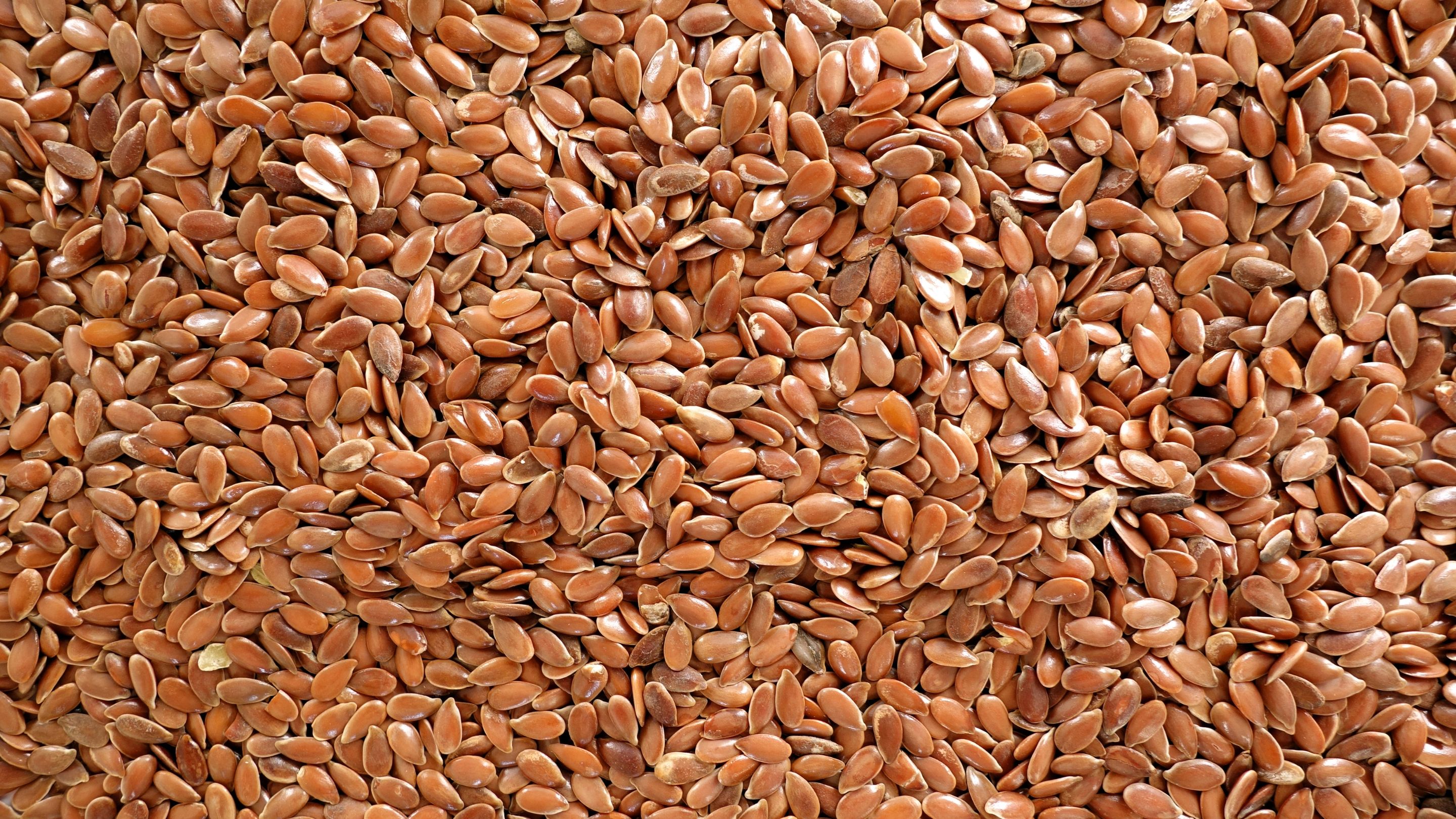Flaxseed (Linseed) Supplier & Exporter | Bulk, Organic & Non‑GMO ...