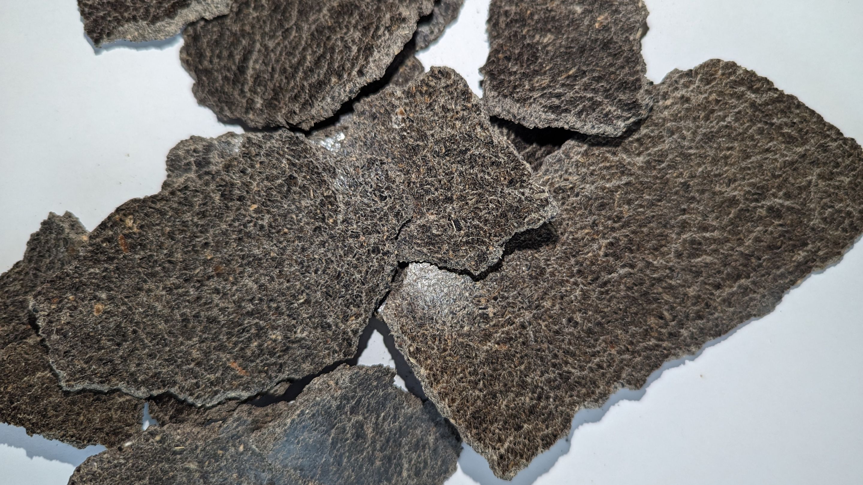 Sunflower Meal Supplier & Exporter | Bulk Non‑GMO, High‑Protein ...